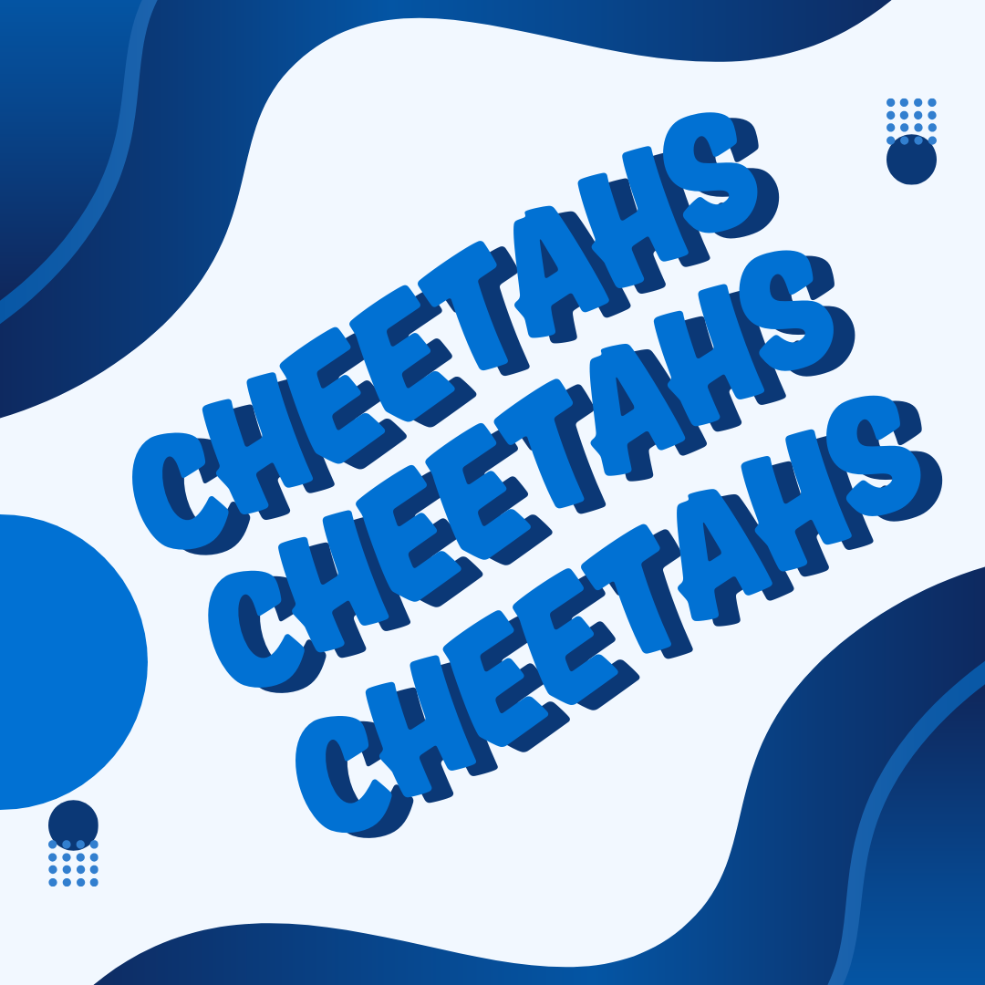 Cheetahs – Frisco Threads